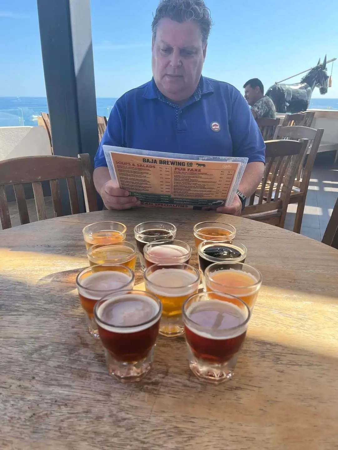 A Funny Thing Happened While in Cabo – What Is That Fly Doing In My Soup?